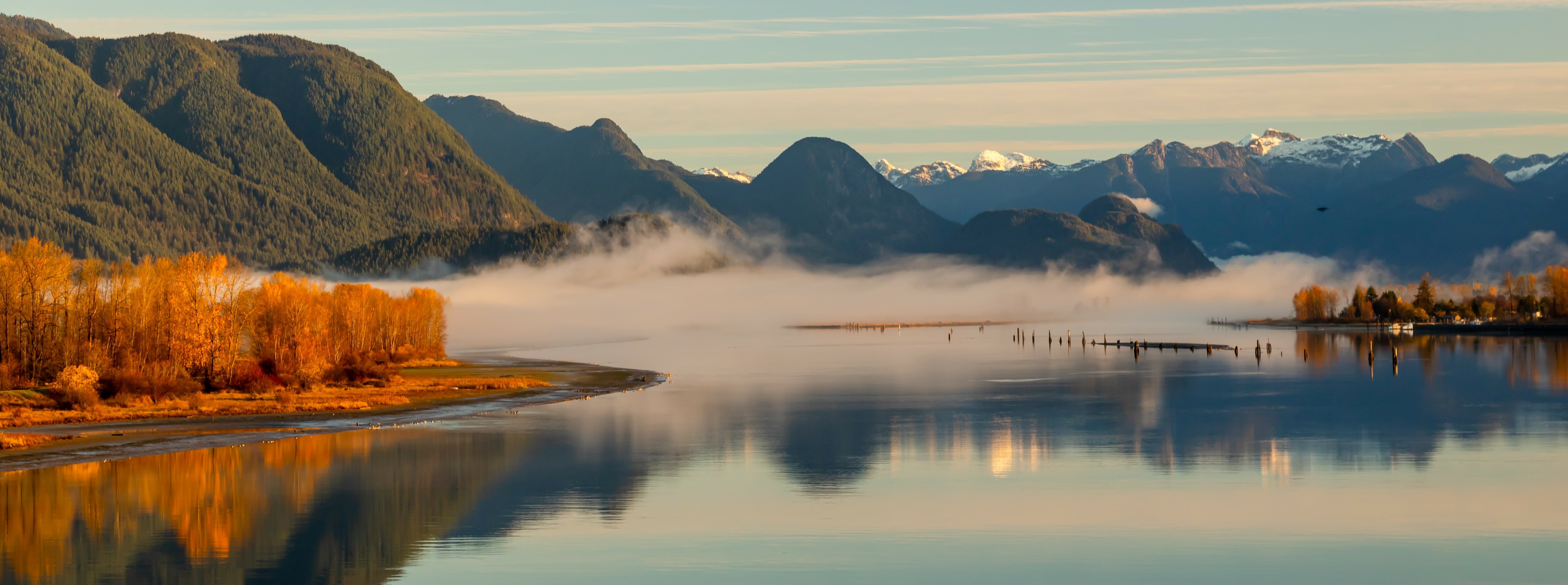 Home - Chamber of Commerce serving Maple Ridge & Pitt Meadows